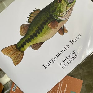 Largemouth Bass Sticker Vinyl Bass Decal Waterproof Bass Sticker Bass ...