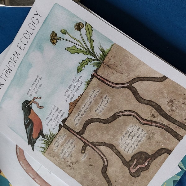 Earthworm Mini Study - Etsy