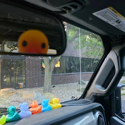 Duck Peeker Rear View Mirror/sun Visor Decal - Etsy
