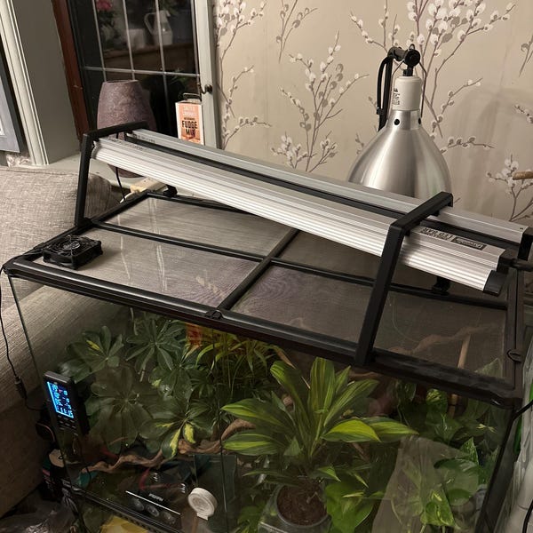 DOUBLE Arcadia UV Light Stand for Lumenize, Pro T5 & Jungle Dawn ...