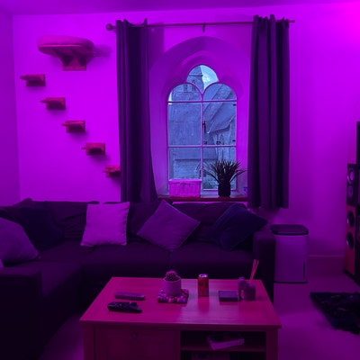 Large Wall Mounted Floating Cat Perch Bed With Pillow and Paw Shape ...