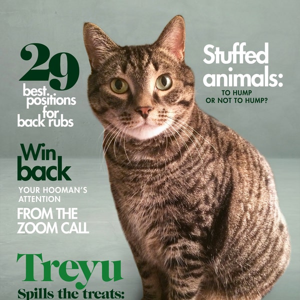 Custom Pet Magazine Cover | Digital or Framed | for Cats | Perfect Gift ...