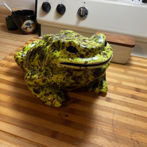 CUSTOM Painted Ceramic Arnel Toad Toilet Paper Holder LARGE - Etsy
