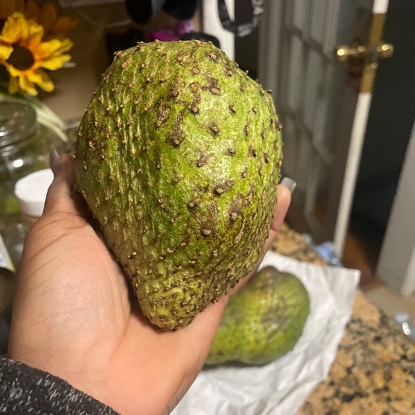 The Pinkglow® Pink Pineapple Gift Box - Etsy