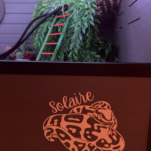 Ball Python Custom Name Decal | Pied Ball Python - Etsy