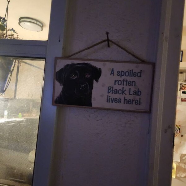A Spoiled Rotten Black Lab Lives Here! Labrador Retriever Made in the ...