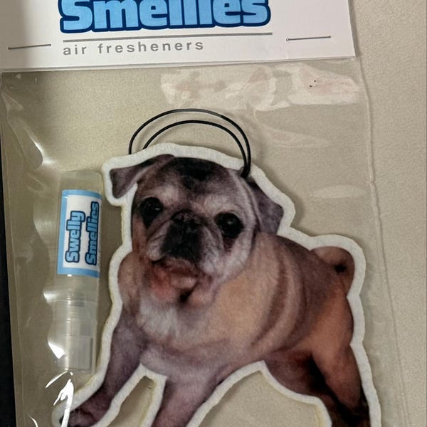 Funny Air Freshener - Flaming Eye Freshener - Cute Air Freshener - Cool ...