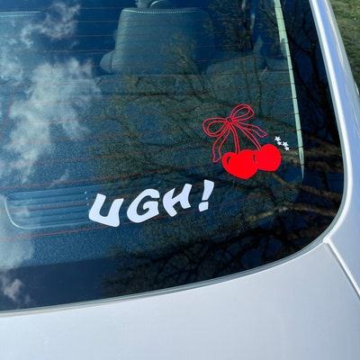 Feminist Car Decal Sticker Funny Car Decal, Car Window Decal Sticker ...