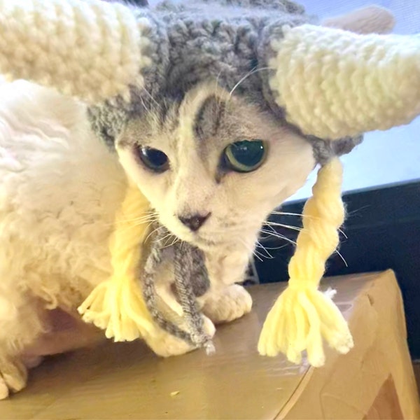 Brunhilde, Vikings, Valkyries, Wagner Opera, Hats for Cats, Pet Hats ...