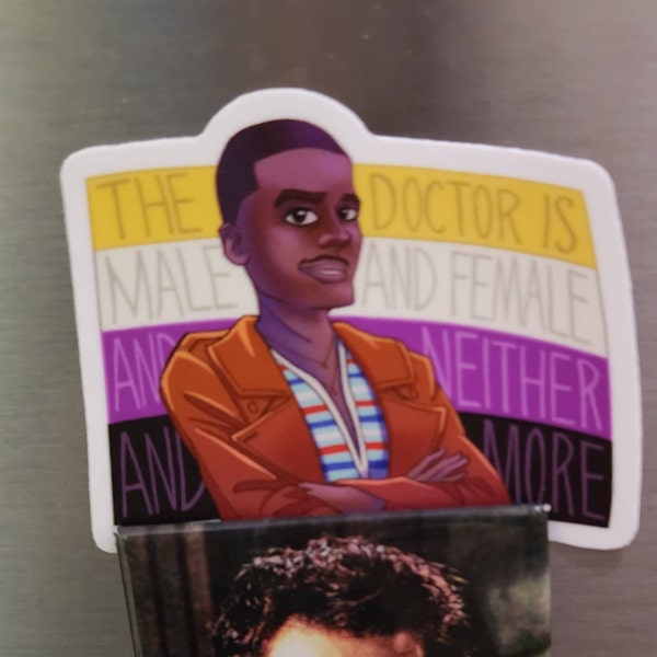Pride Flag 14th Doctor Sticker, David Tennant, Doctor Who, Fourteenth ...