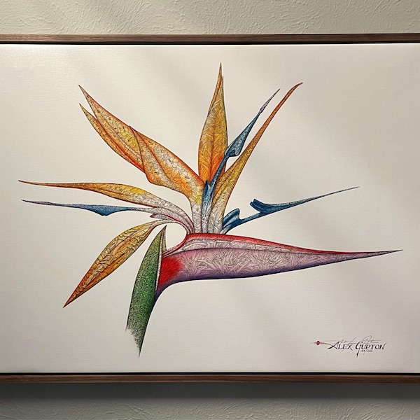 24x36 Frame 24 X 36 Regular Floating Frame for 1.5 Canvas Wooden Frame ...