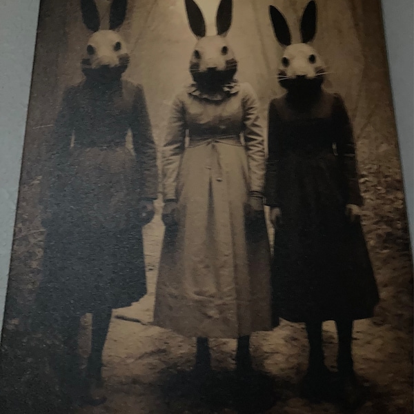 The Bunny Cult, Occult Decor, Witchcraft Art, Framed Canvas Print ...