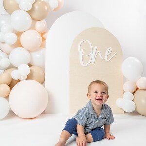 One Year Of 12 Months Of Photography Prop Babies 1st - Etsy