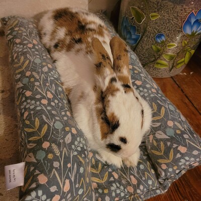 Bunny Snug Bed - Etsy