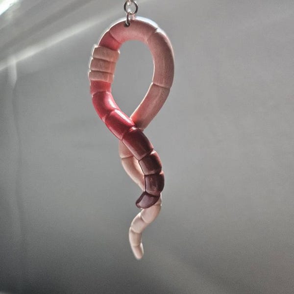 Earthworm Earrings | Polymer Clay | Made to Order - Etsy