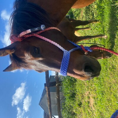 Sundance Hoops - Etsy