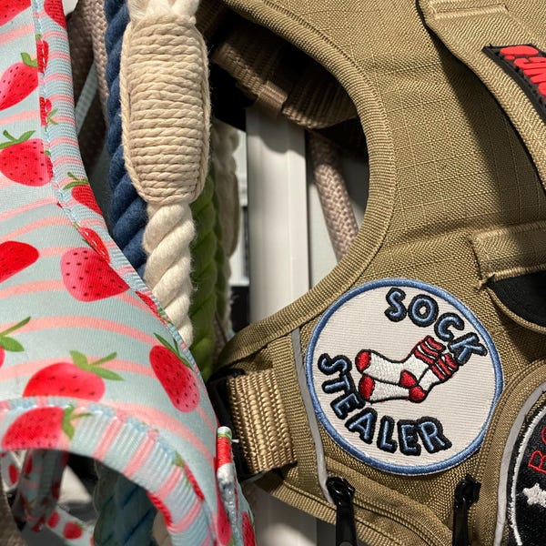 Dog Merit Badge | Iron-on Patches for Dogs, Dog Bandana Badges ...