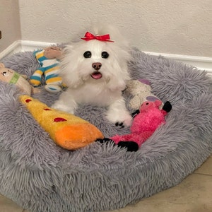 A Doggy is the Maltese Stuffed. Toys Handmade. Toys Dog OOAK. - Etsy