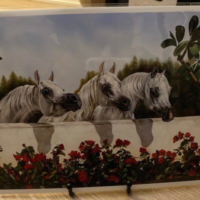 Arabian Horse Art Print arabian Stallion 8 X 10 Inch Giclee by Artist ...