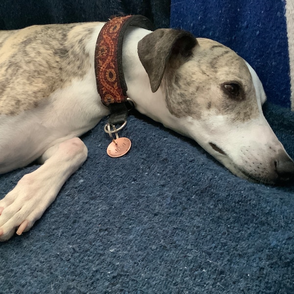 Custom Dog Tag / Custom Pet ID Tag - Lucy - in 1.25'' Domed Bronze ...