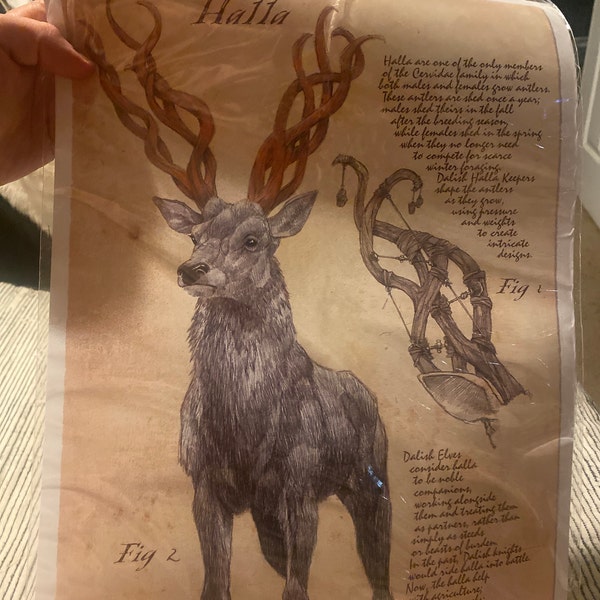 Plate 9: Halla, Bestairum Vocabulum, Or, a Cryptozoological Compendium ...