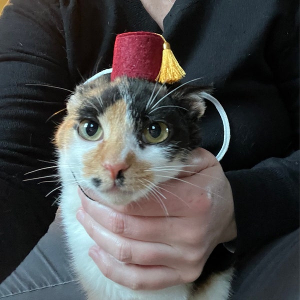 Fez Hat Mini Small Pet Cat Dog Hedgehog Vogue Guinea Pig Ferret Rabbit ...