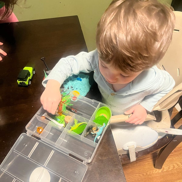 Dinosaur Play Dough Sensory Kit - Etsy