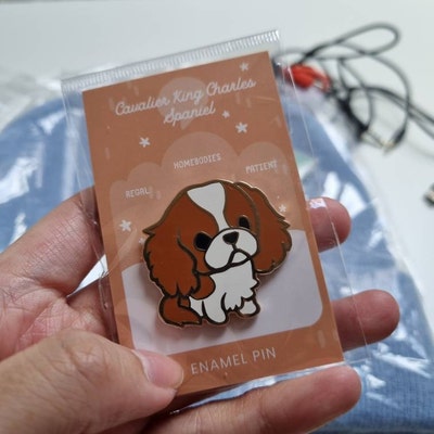 Vinyl Sticker transparent We Survived a Stolen Truck - Etsy