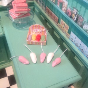 Fine French Fans Display Kit | Etsy