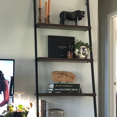 Archaeopteryx in Matrix the berlin Specimen - Etsy