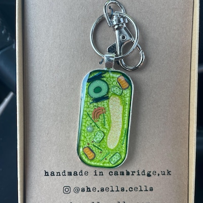 Animal Cell Keychain, Key Ring, Cell Biology, Biology Gift, Science Key ...