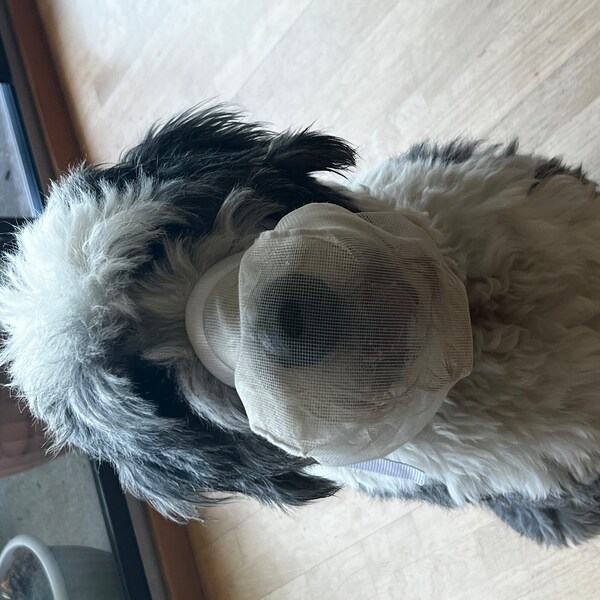 Smuzzle: A Soft Muzzle That Lets Your Dog Smile - Etsy