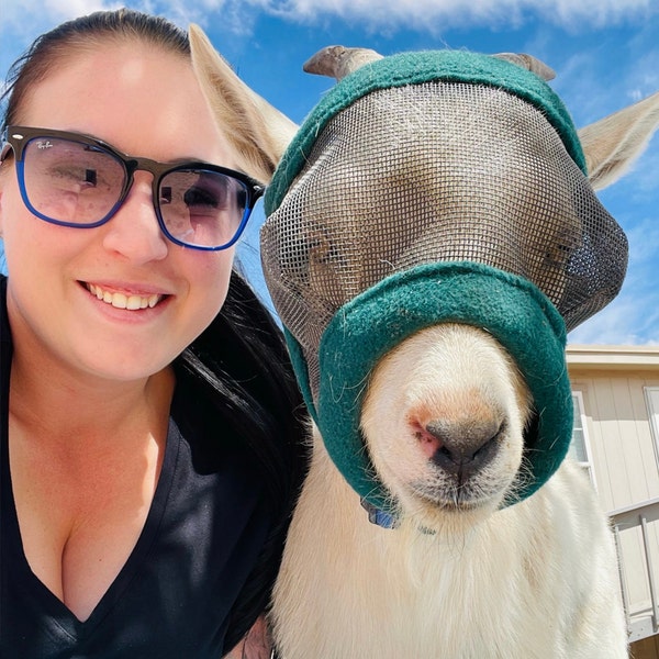Goat/sheep Fly Masks - With & W/o Horns - Dual Adjustable - Made to ...