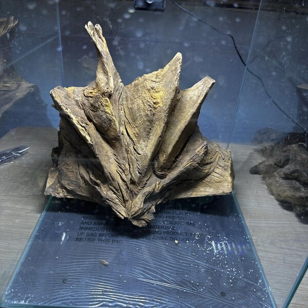 Floating Forest Art | Moss on Bark | Natural Wall Decor | Eco Friendly ...