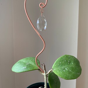 Copper Hoop Trellis, Full Moon Copper Houseplant Trellis, Plant Support ...