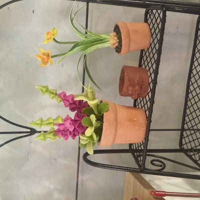 Miniature Water Lily Flower Bunch of Flowers,miniature Blue Color Lotus ...