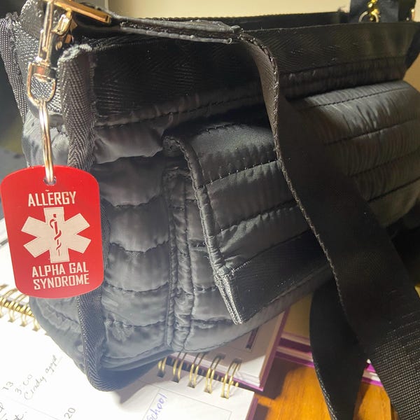 Cooking Contest Award Bundle, Cooking Gifts, Chili Cookoff Trophy ...