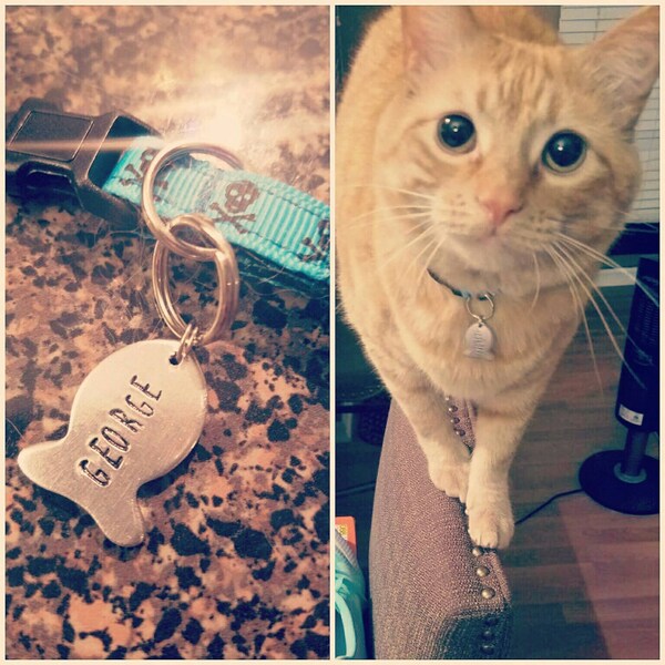 Cat Tag - Small Dog Tag - Fish Pet ID Tag - Hand Stamped Pet Name Tag ...