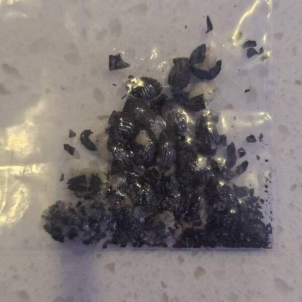 Purple Pampas Grass Seeds 200 Organic and Natural Grass Biofuel Green ...