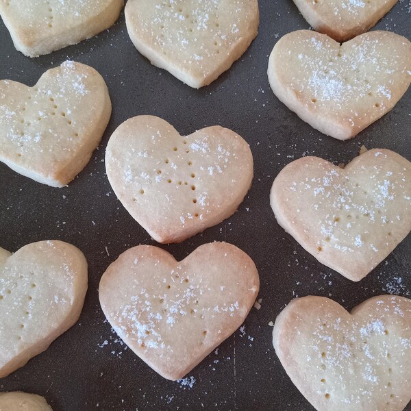 6 Piece Cat Cookie Cutter Set New Animal Shelter Fundraiser Metal ...