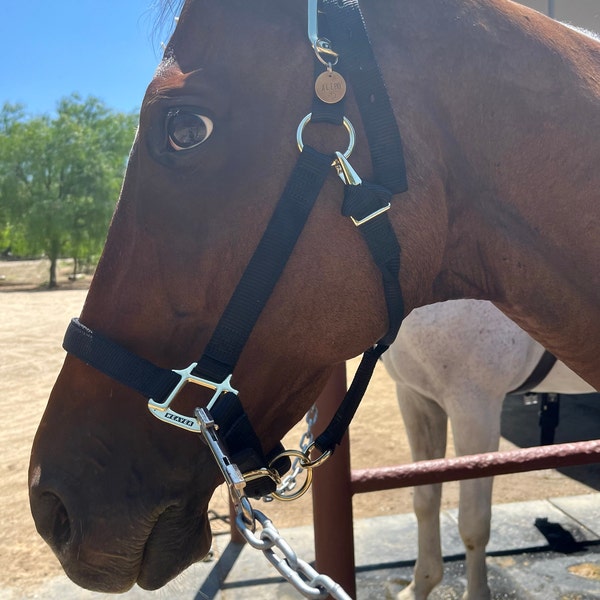 Custom Bridle Tag, Halter Tag, Horse Name Tag, Gift for Horse Lover ...