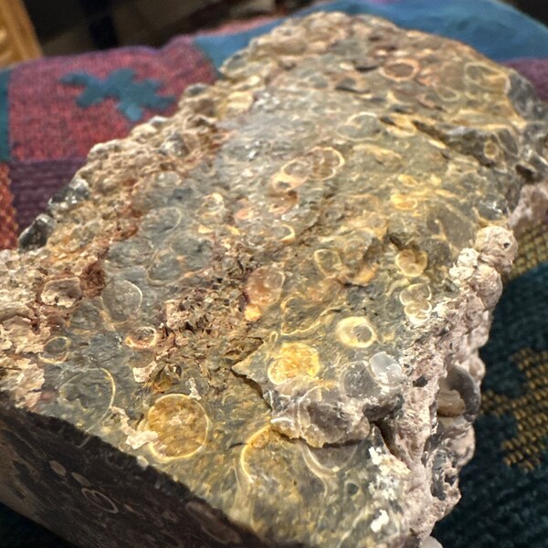 Wyoming Snowflake Jade, Rough - Etsy