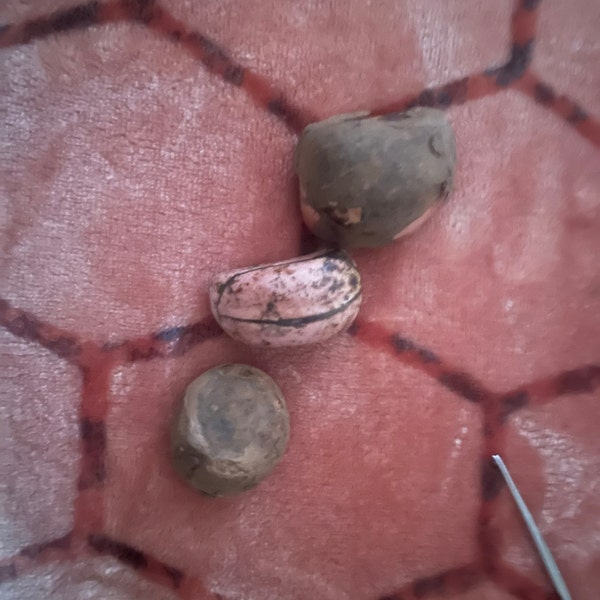 Kola Nuts 4/ 5/6 Lobes Pieces- 8 Oz / 220 Grams Cola Acuminata - Etsy