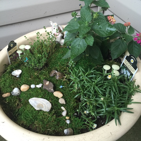 3 Glow-in-the-dark Miniature Fairy Garden Mushrooms With Floral Wire ...