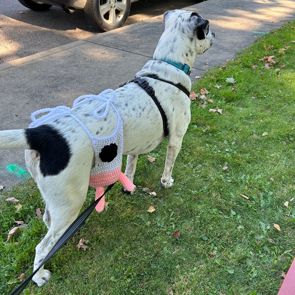 Udderly Adorable Cow Udder Dog Costume! Horn “hat” Also Available ...