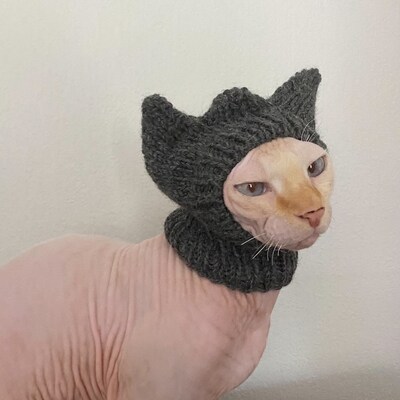Yellow Cat Hat Hand Knit Sphynx Cat Accessories Pet Winter Beanie for ...