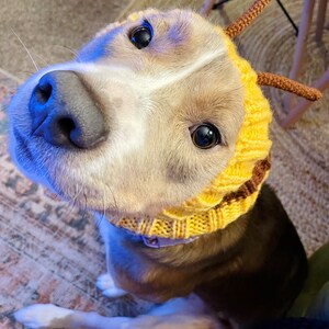 Bumble Bee Dog Snood Knit Crochet Dog Hat Easter Dog Costume Ear Warmer ...