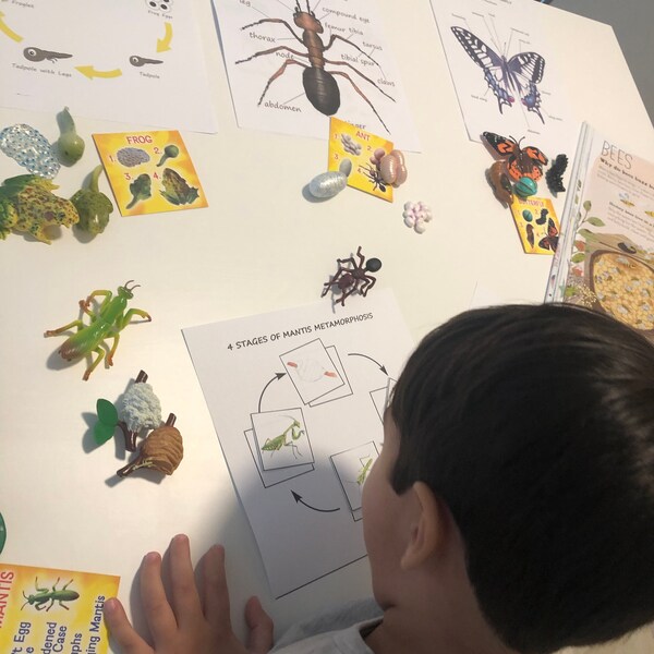 Editable Hopscotch, Sensory Path With WORDS & NUMBERS, Printable Floor ...