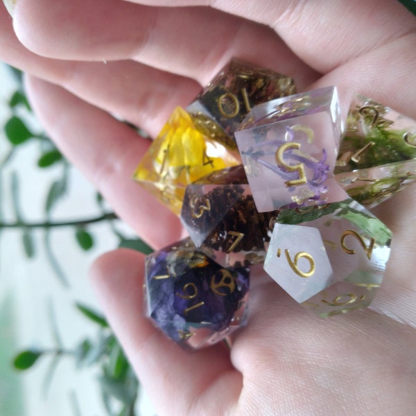Forest Floor (REAL PLANTS!) Dice Set for Dungeons and Dragons Tabletop ...