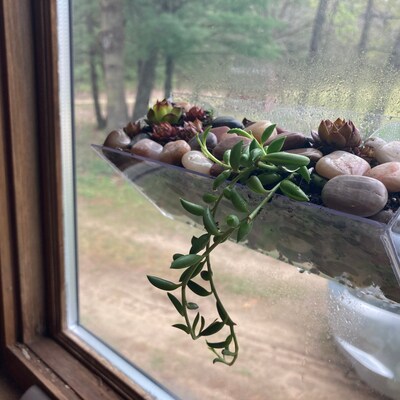 Suction Cup Window Planter Long Triangular Window Box Style - Etsy